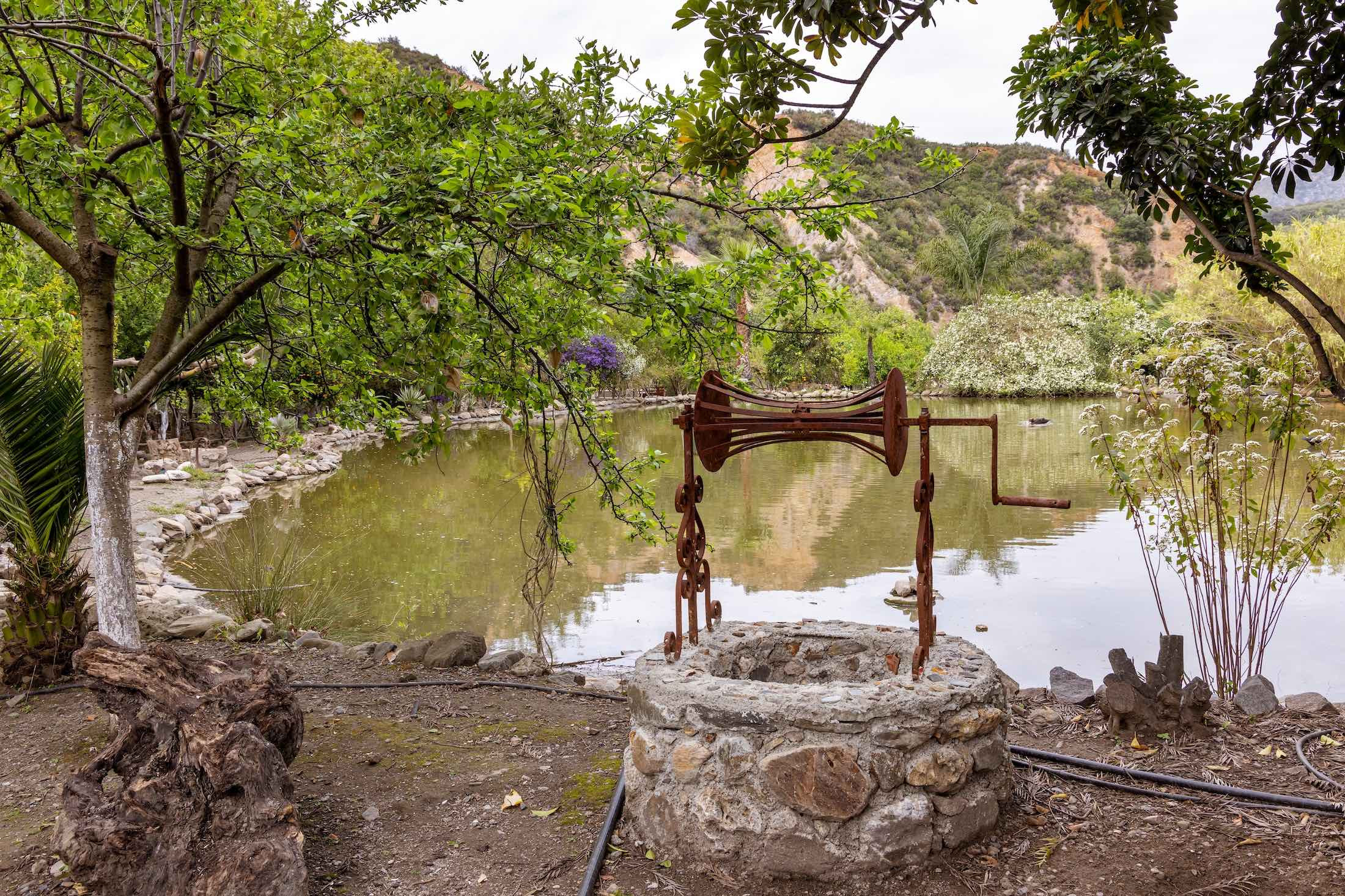 Discover the botanical gardens of Crete: A mediterranean oasis